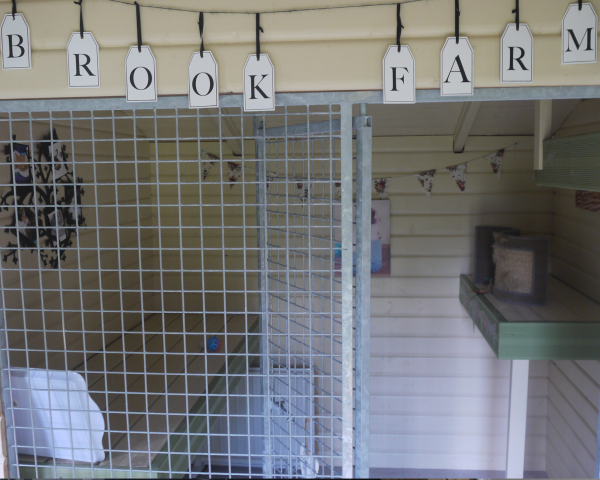 Izzy Cottage - Brook Farm Cattery