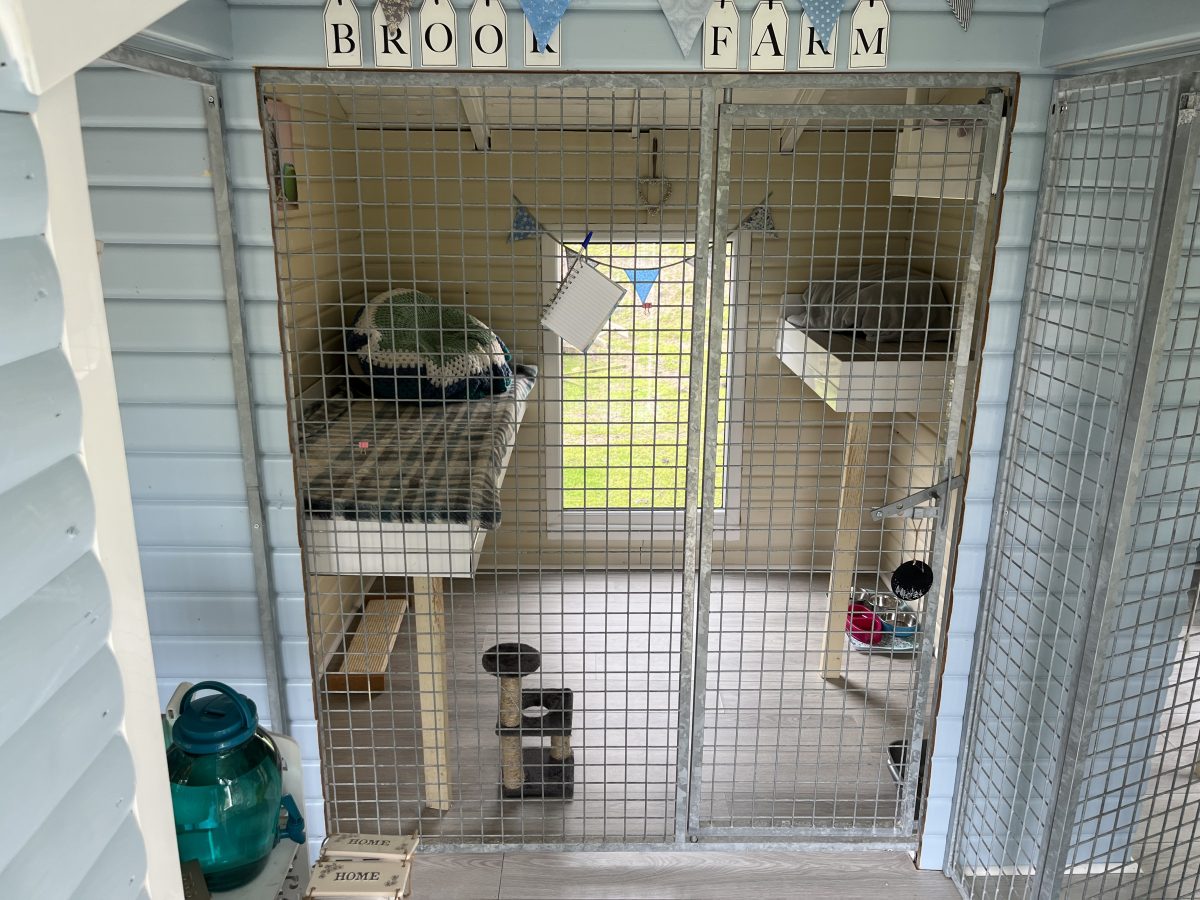 Izzy Cottage - Brook Farm Cattery